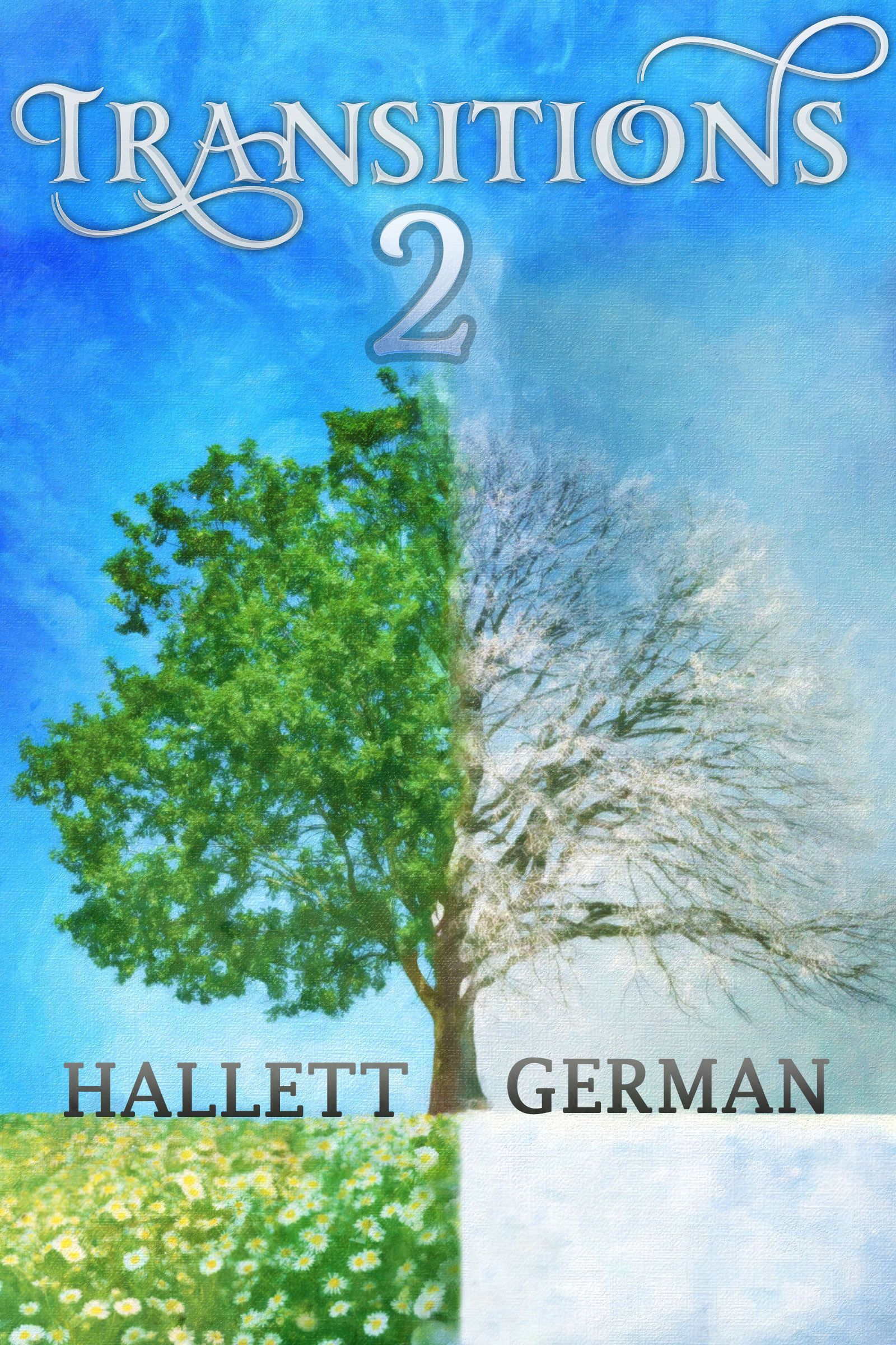 Transitions 2: Spiritual Short Stories | Hallett German Fiction
